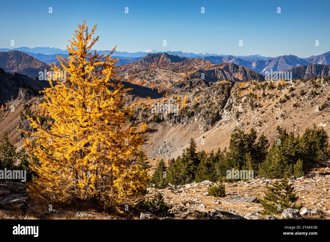 WA23831-00...WASHINGTON - Overlooking Merchants Basin and the Cascade ...