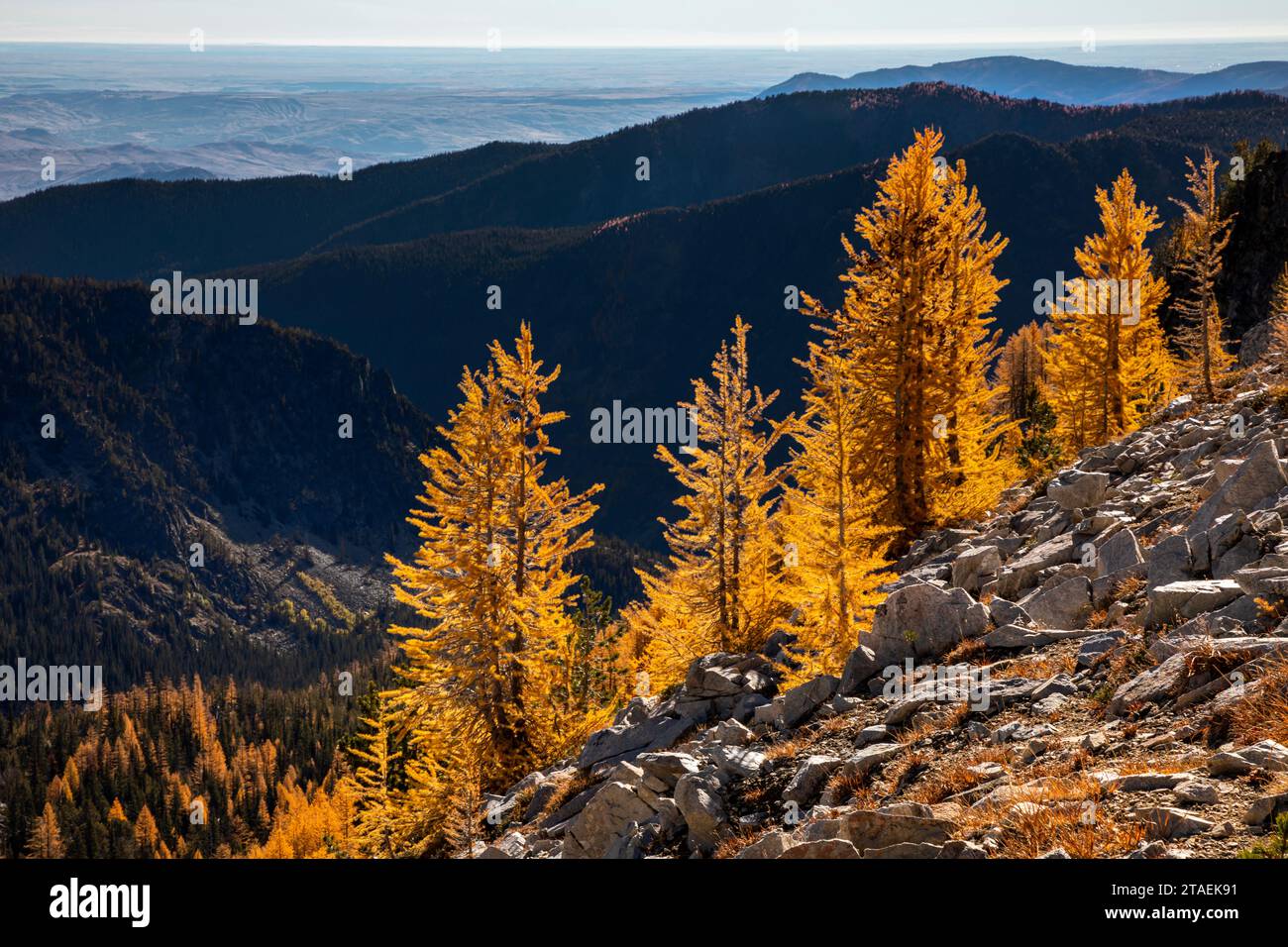 WA23837-00...WASHINGTON - View east from the top of the Cooney Lake ...