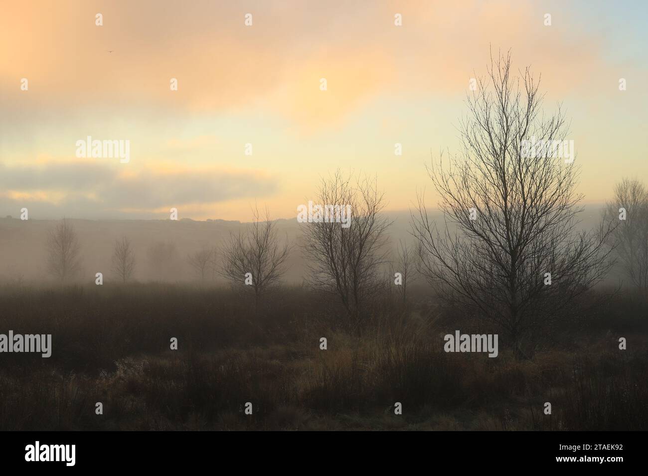 Early morning image taken at sunrise the previous night time mist ...