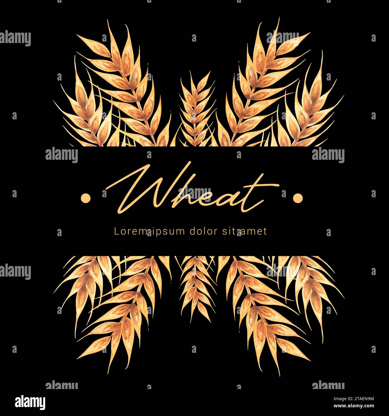 Ears of wheat label on black background. Watercolor hand drawn ...