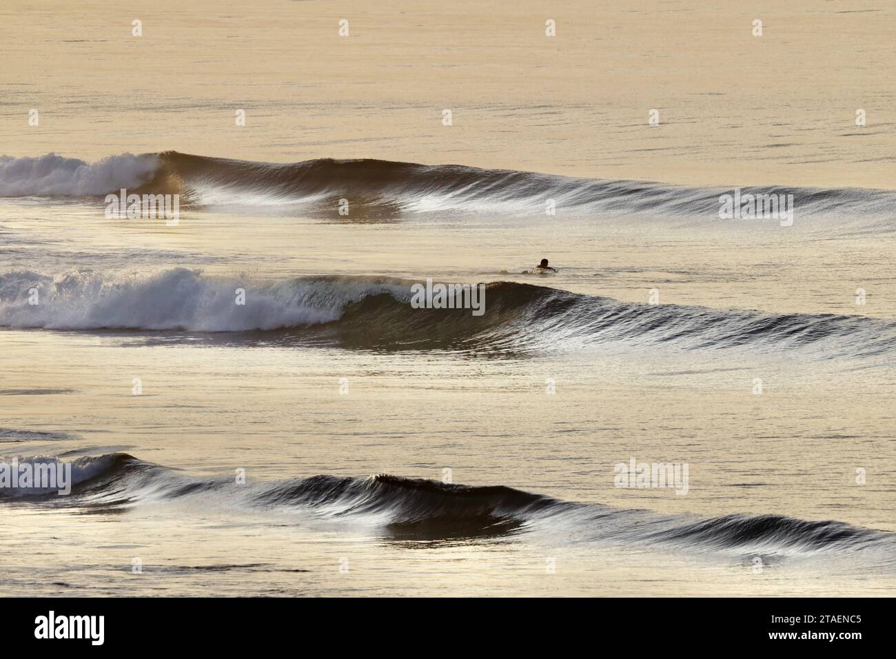 The perfect wave conditions on a sunny beach, with crystal clear blue ...
