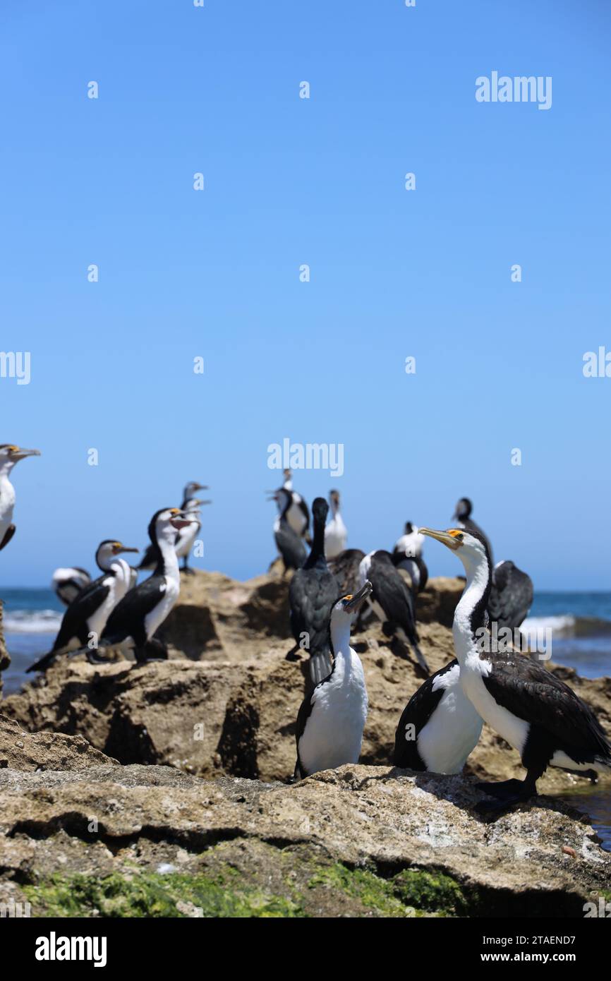 Perched atop sunlit cliffs hi-res stock photography and images - Alamy