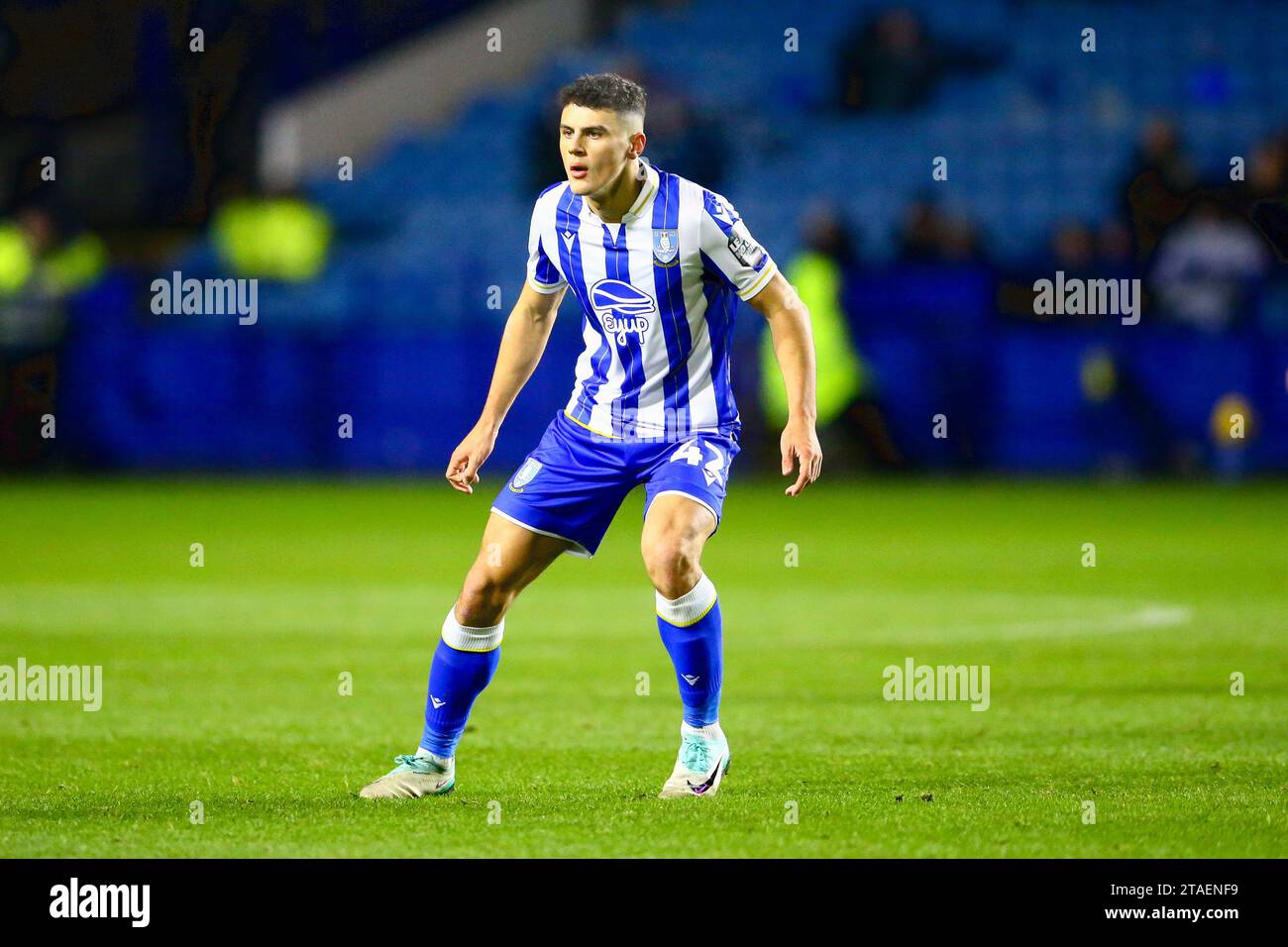Hillsborough Stadium, Sheffield, England - 29th November 2023 Bailey ...