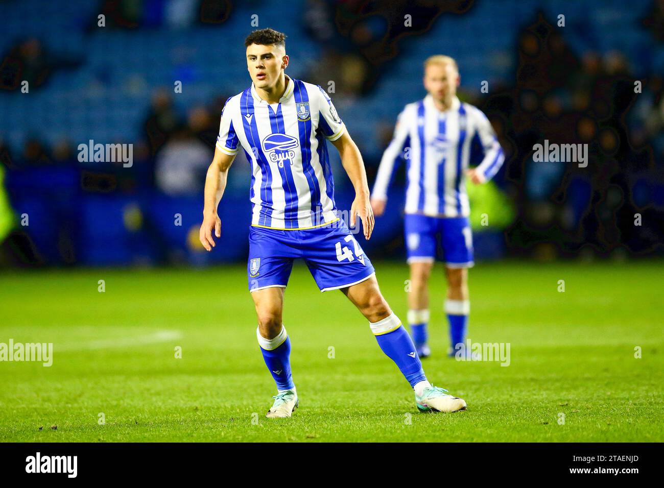 Hillsborough Stadium, Sheffield, England - 29th November 2023 Bailey ...
