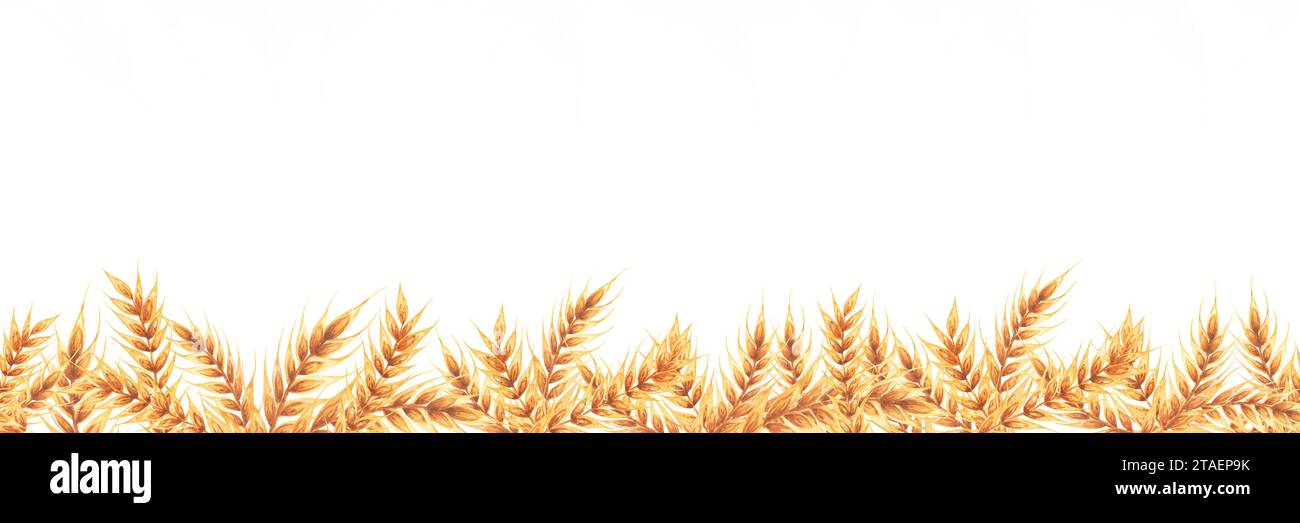 Wheat rectangle field. Frame with ears of wheat. Watercolor ...