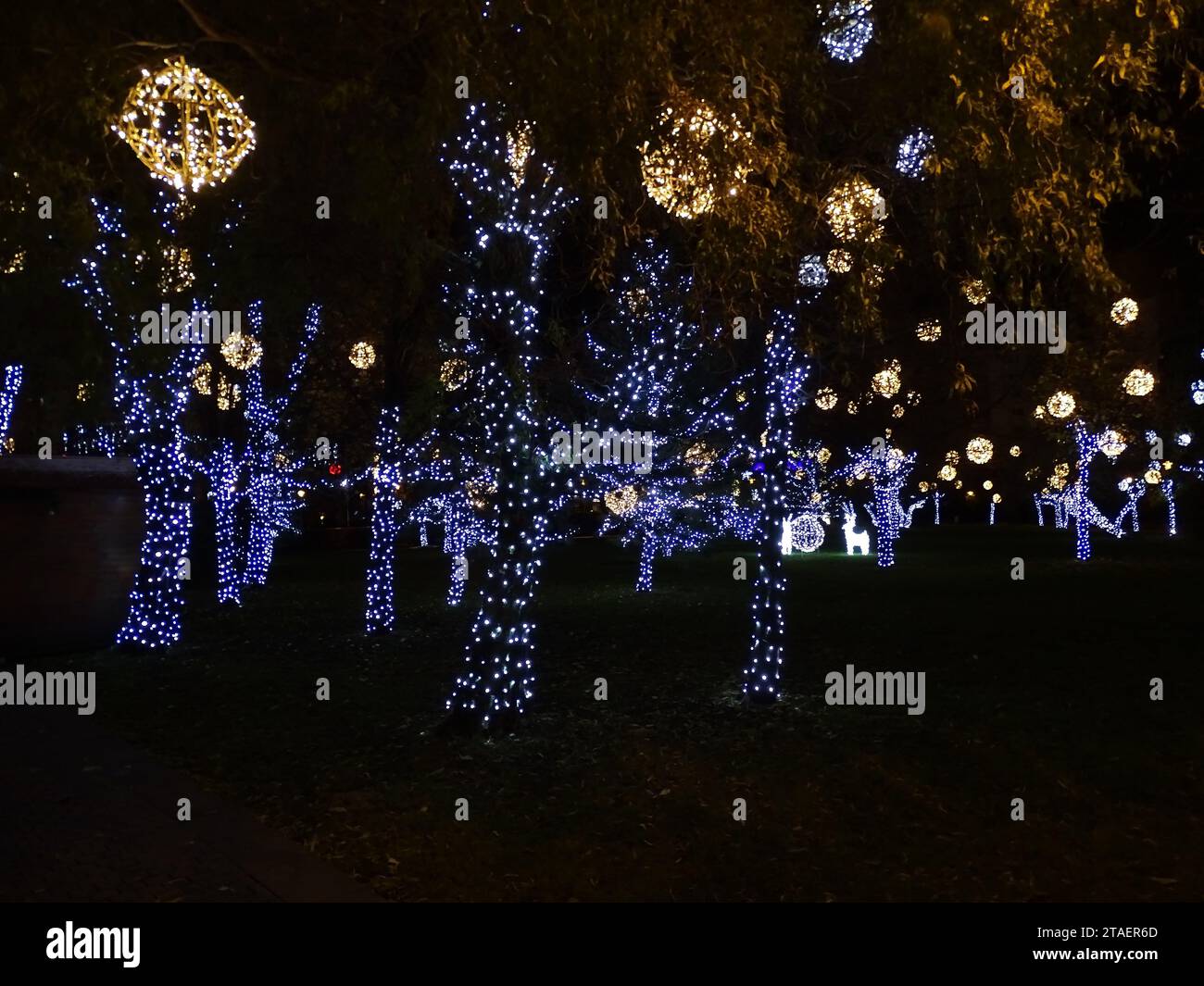 Christmas lights in Baia Mare city, Romania Stock Photo - Alamy