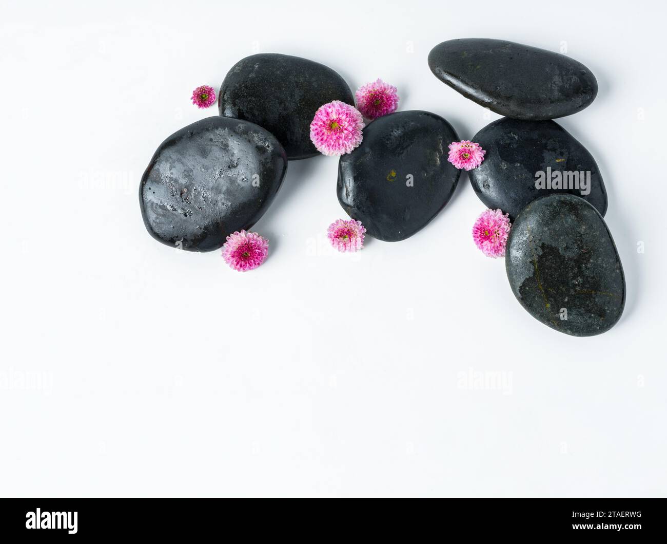 Spa stones and flowers on the white background Stock Photo - Alamy
