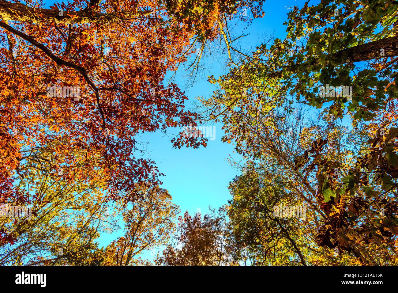 View of a beautiful nature Fall scenery Stock Photo - Alamy