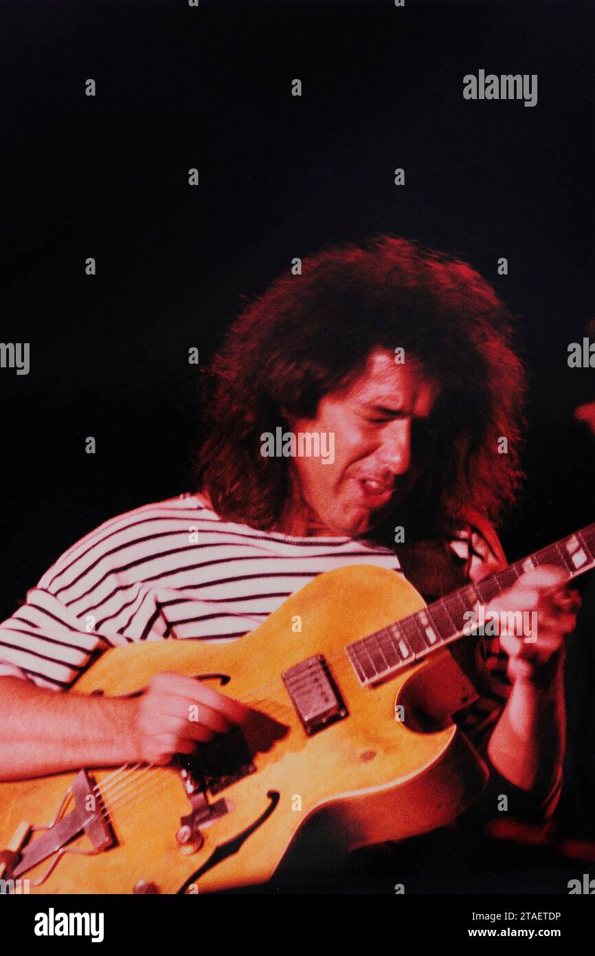 Pat Metheny, celebrities, concert, concerts, guitarist, horizontal ...