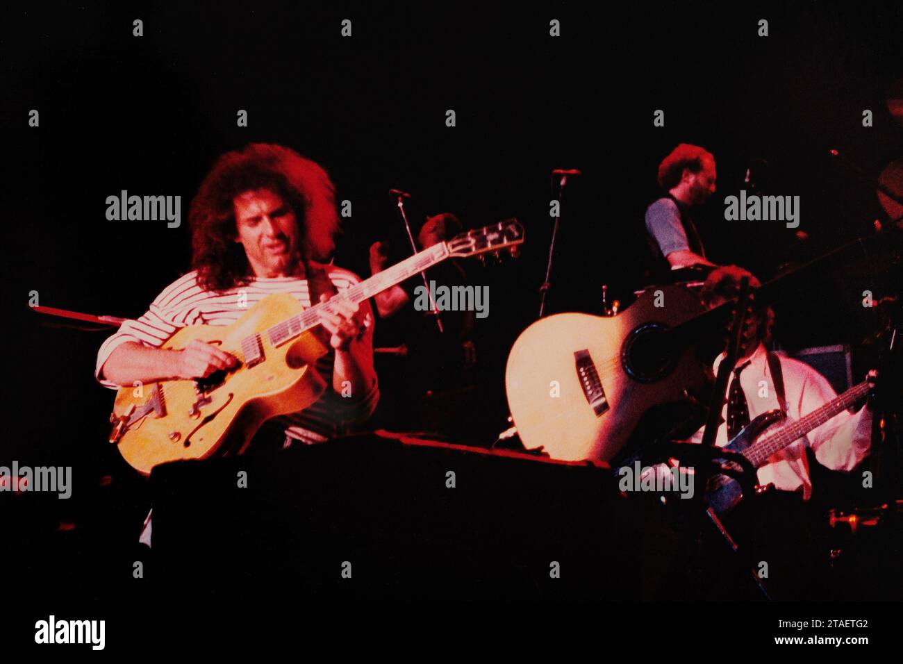 Pat Metheny, celebrities, concert, concerts, guitarist, horizontal ...