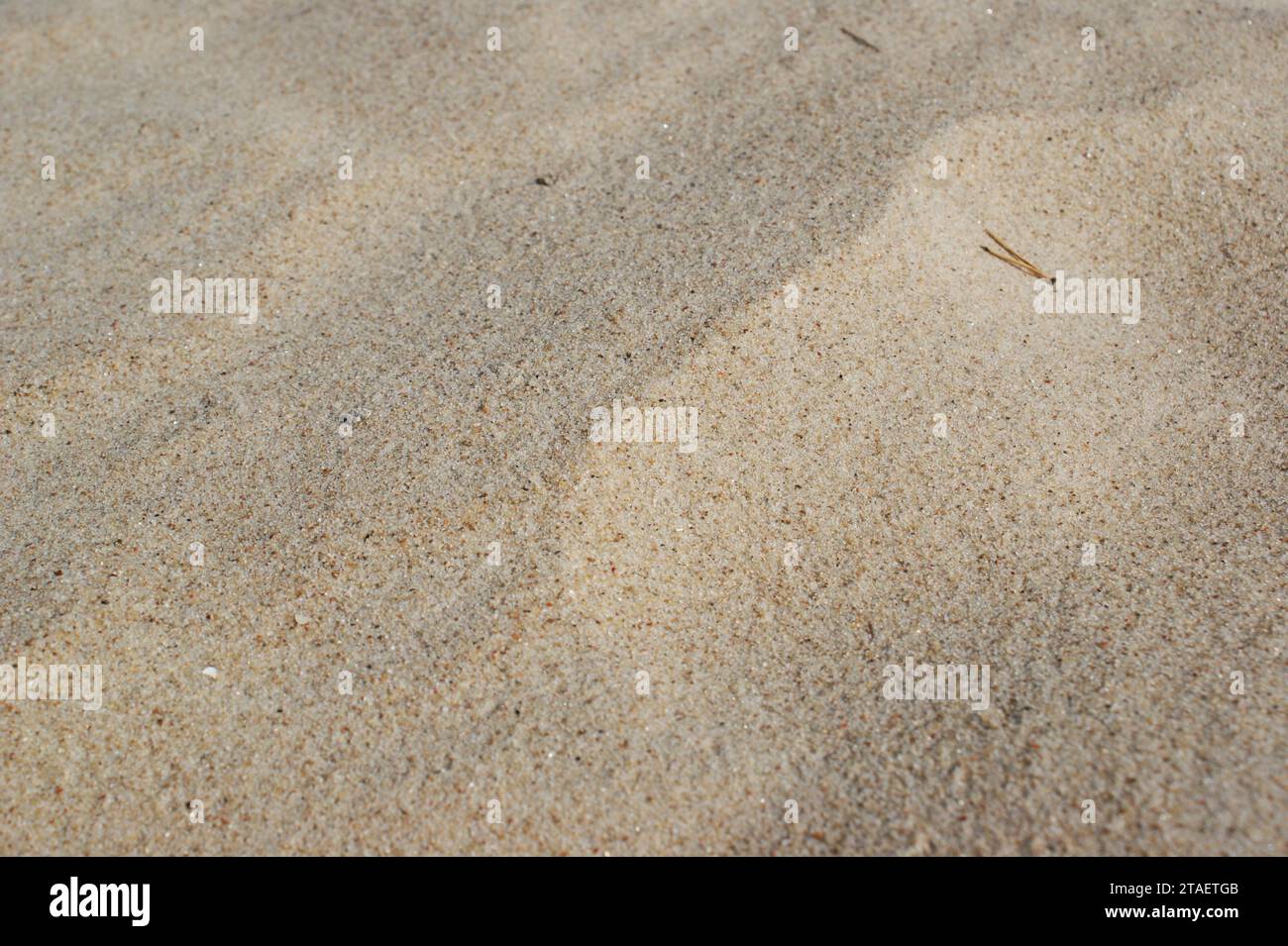 Dry light beach sand, side view. High quality photo Stock Photo - Alamy