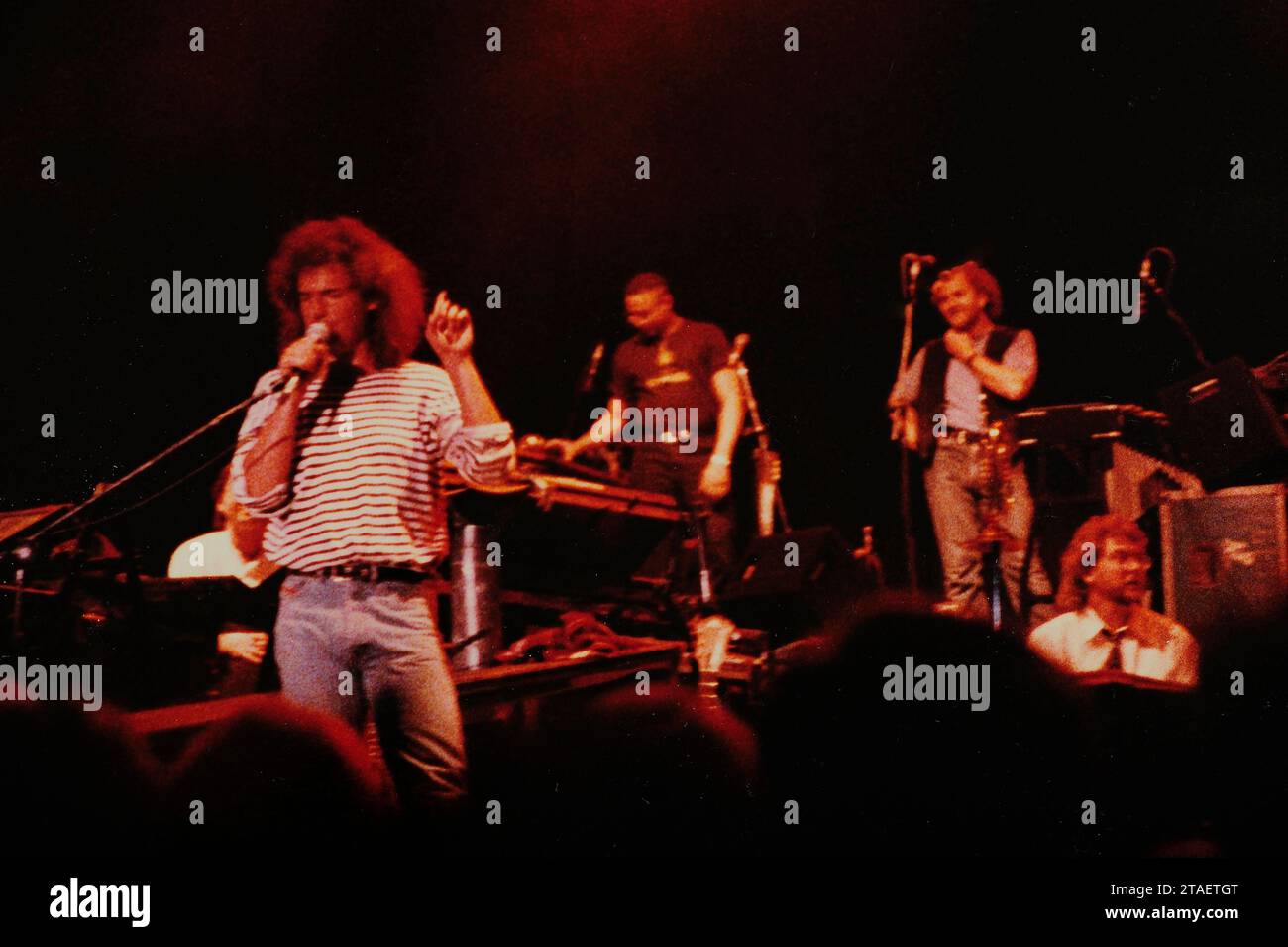 Pat Metheny, celebrities, concert, concerts, guitarist, horizontal ...