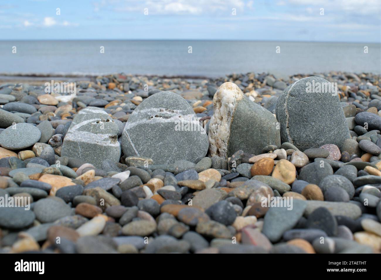 Four rocks on a rocky beach. Smooth pebbles Stock Photo - Alamy