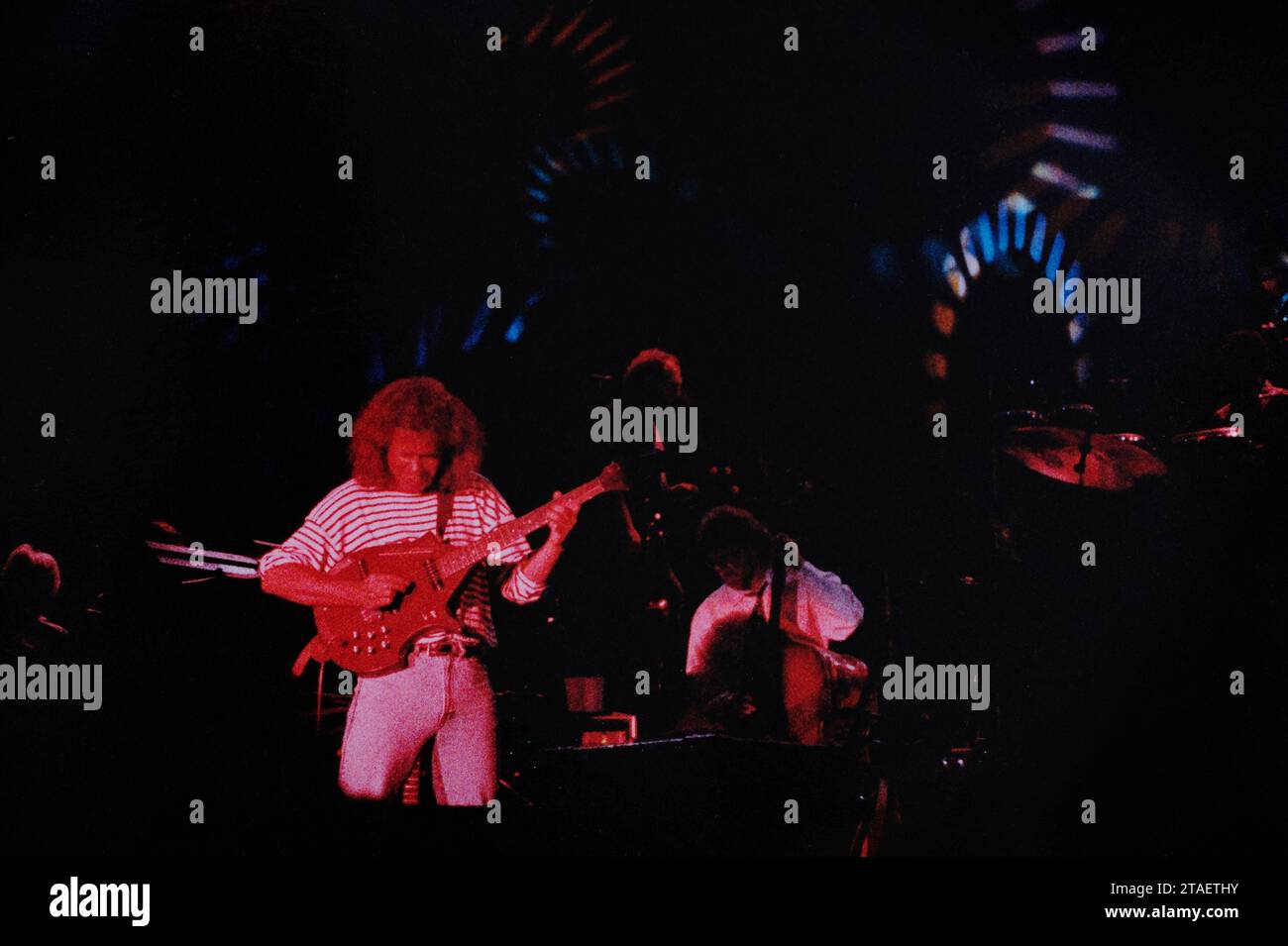 Pat Metheny, celebrities, concert, concerts, guitarist, horizontal ...