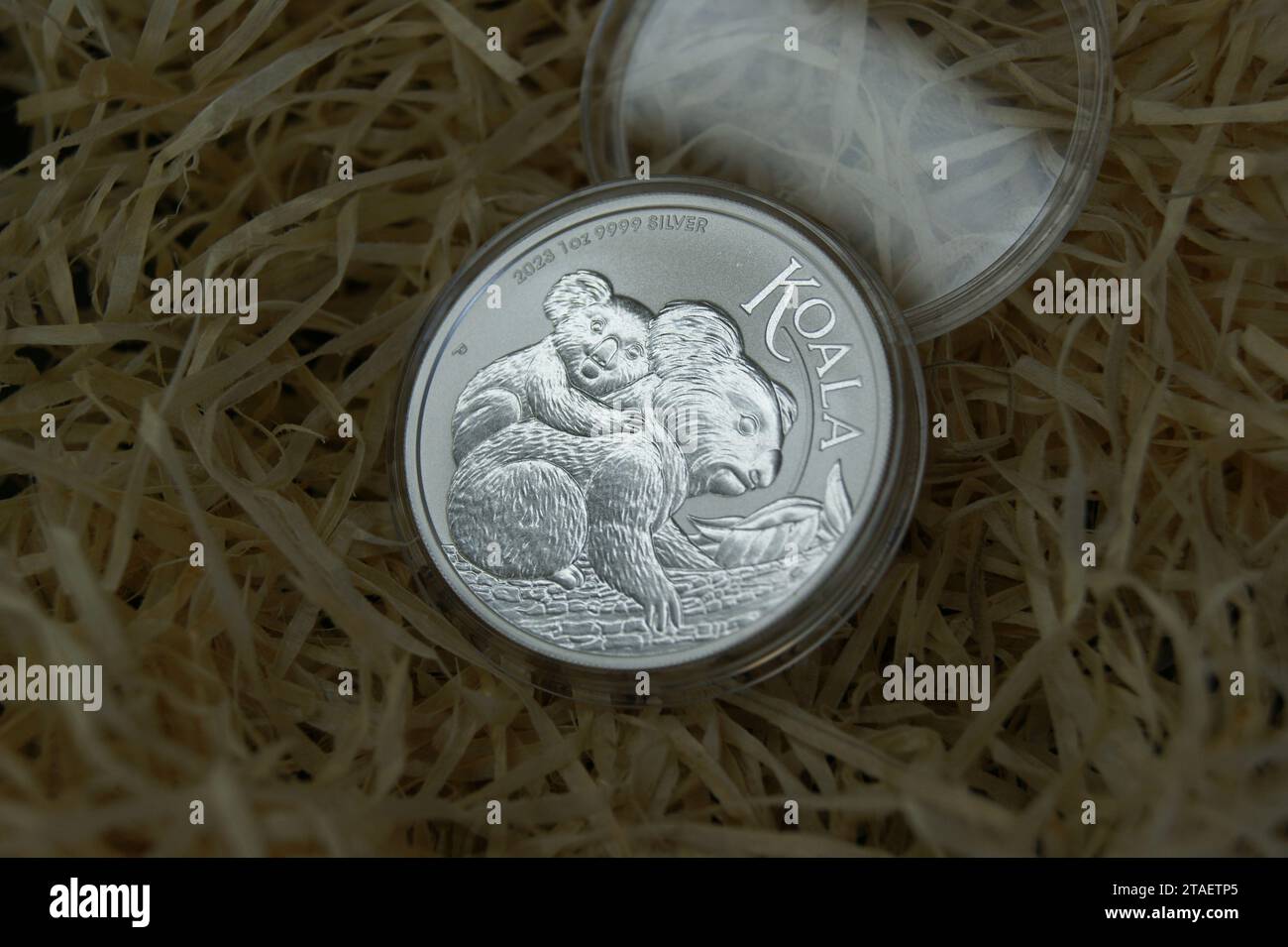 1 Dollar Australian koala 2023. Pure silver investment coin Stock Photo ...