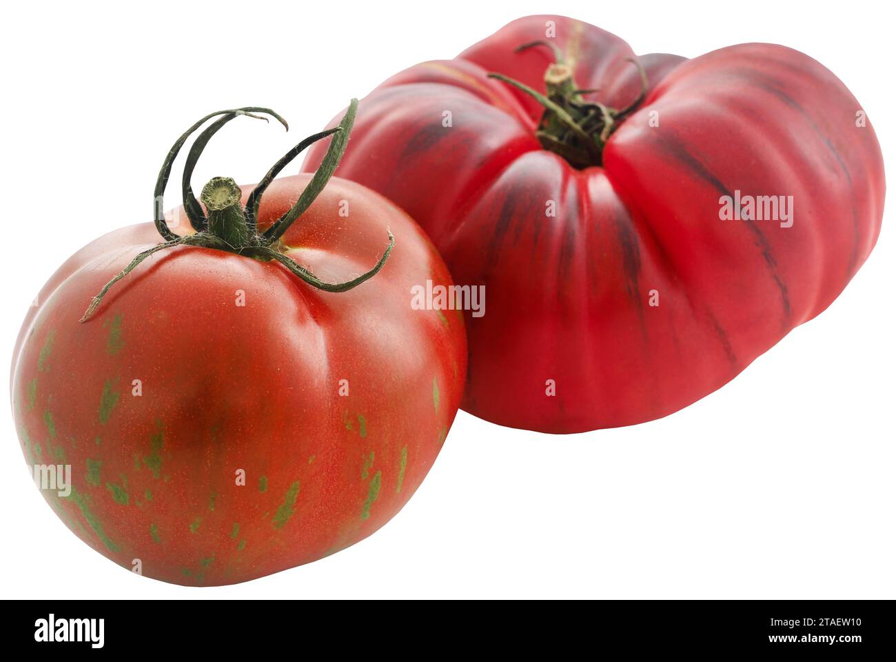 Black Russian Tomato fresh and organic Stock Photo - Alamy