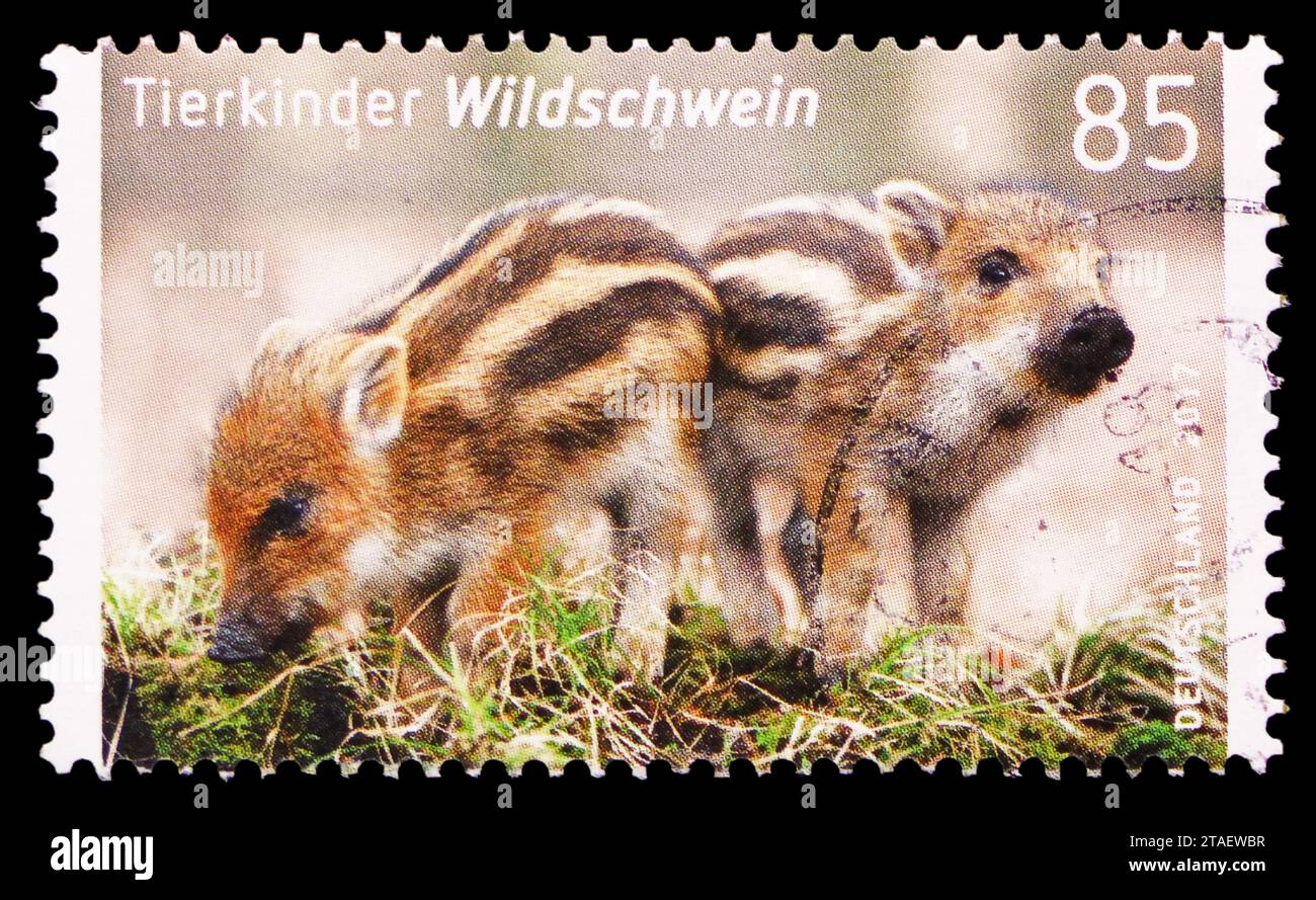 MOSCOW, RUSSIA - NOVEMBER 17, 2023: Postage stamp printed in Germany ...