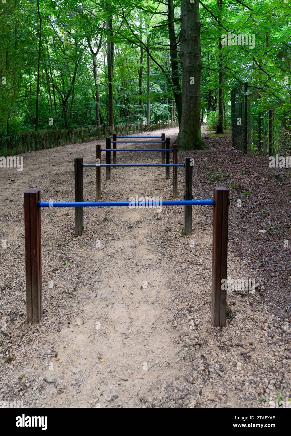 Obstacles in nature hi-res stock photography and images - Alamy