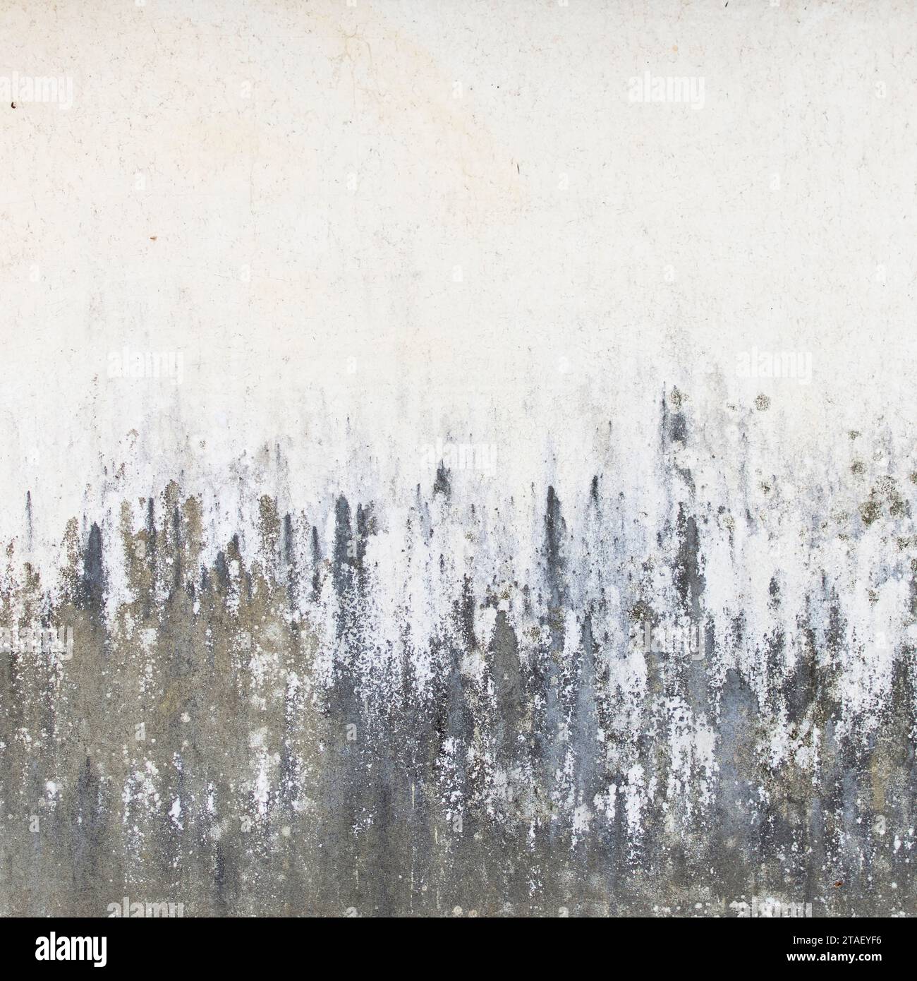 Contrete wall hi-res stock photography and images - Alamy