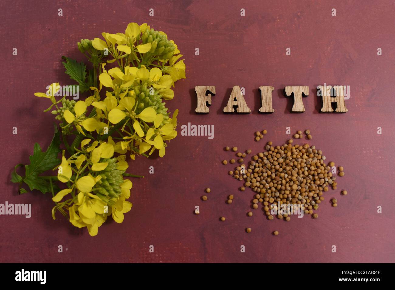 Mustard seeds and mustard flowers. Flat lay. Mustard seed parable Stock ...