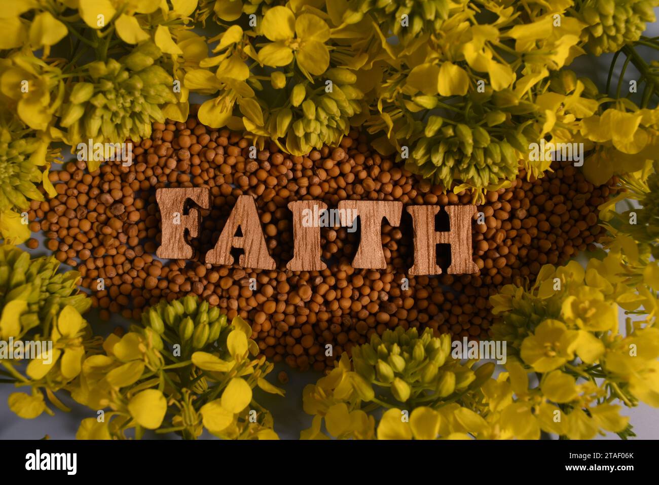 Parable Of The Mustard Seed Mark