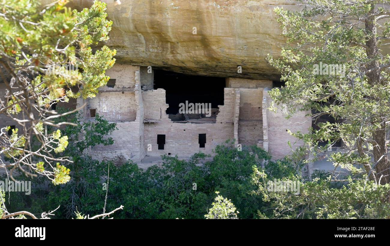 Spruce Tree House, Mesa Verde National Park Stock Photo - Alamy
