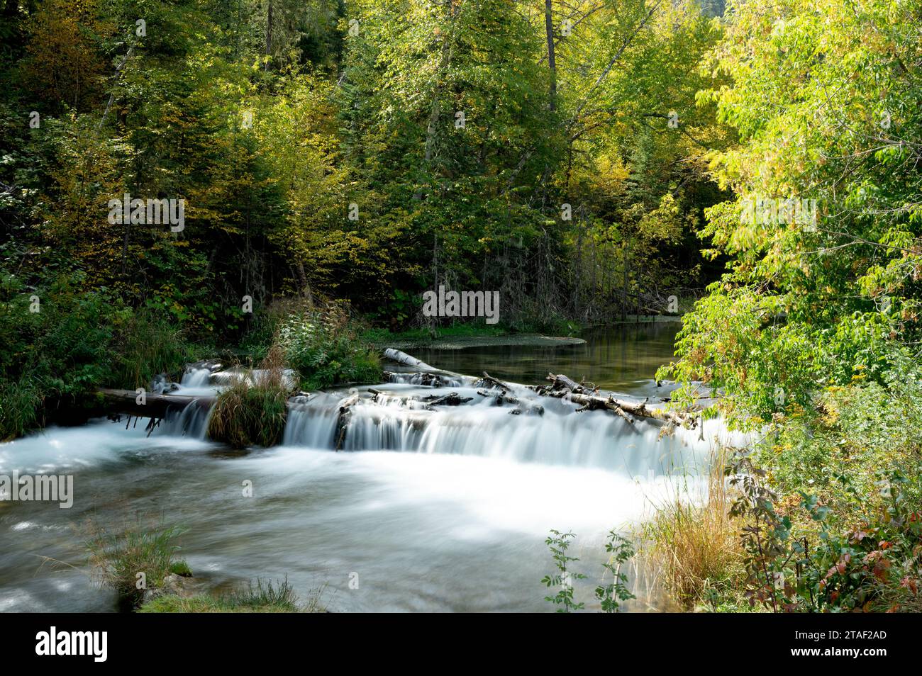 Small water fall on Spearfish Creek in South Dakota Stock Photo - Alamy
