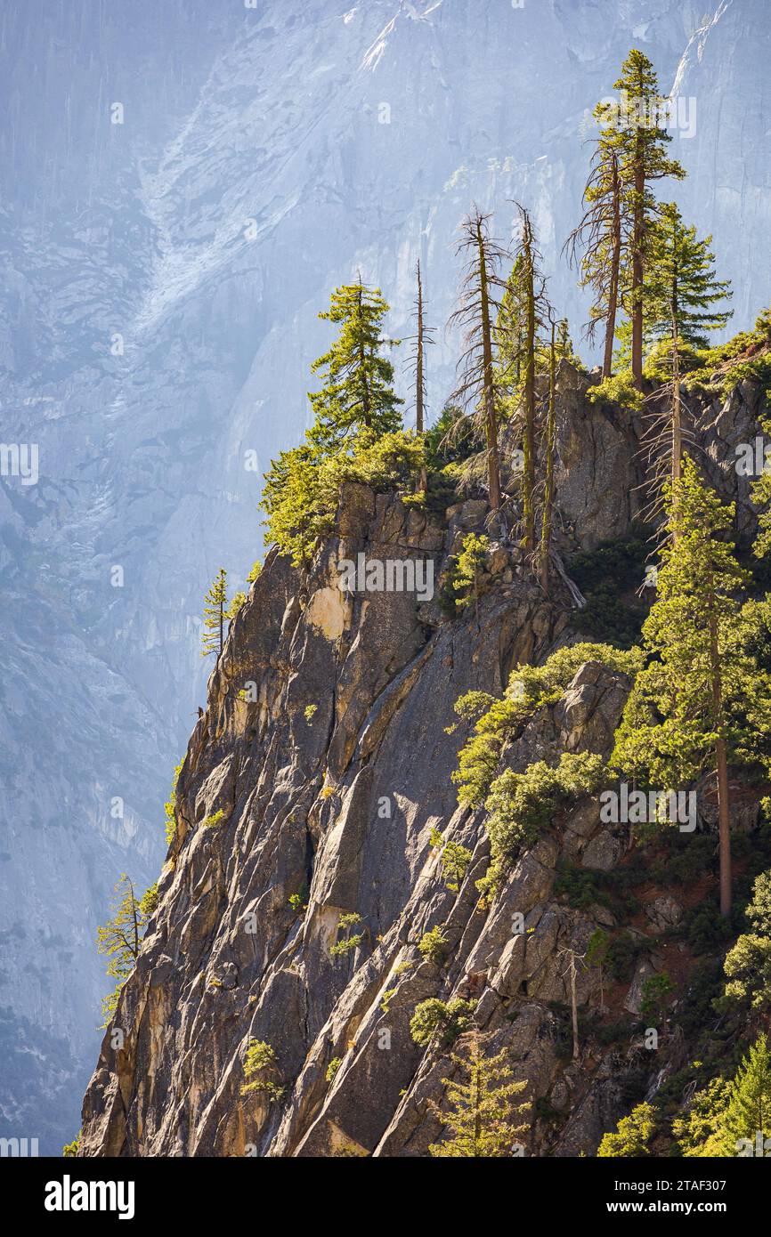 Steep mountain with evergreen trees in foreground hi-res stock ...