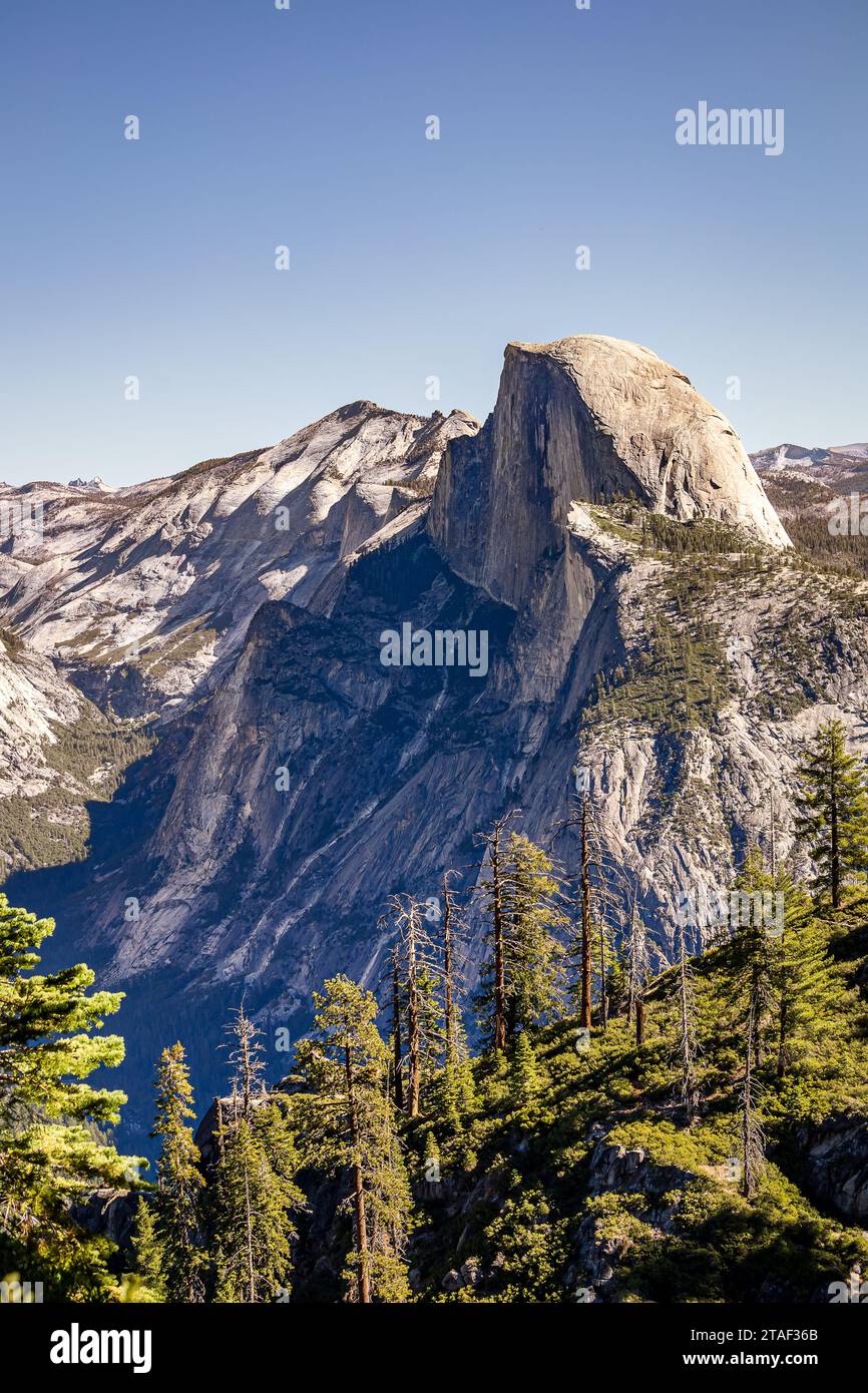 Sunny vertical scene of Half Dome granite rock formation with pine ...