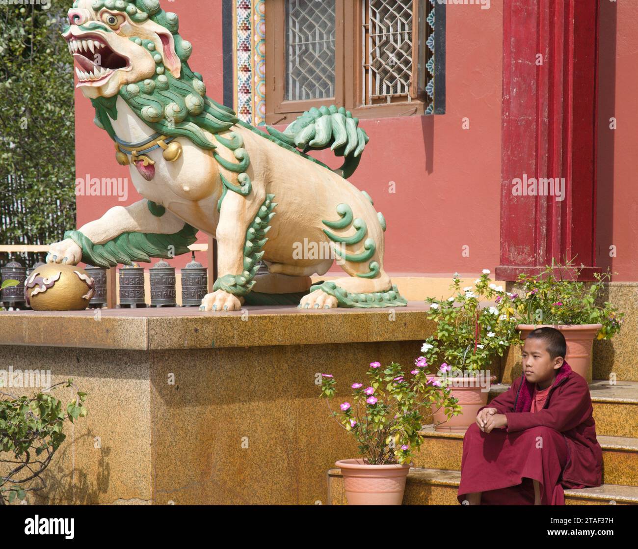 Nepal, Kathmandu Valley, Bodhnath, Tharlam Gompa, young monk, Tibetan ...