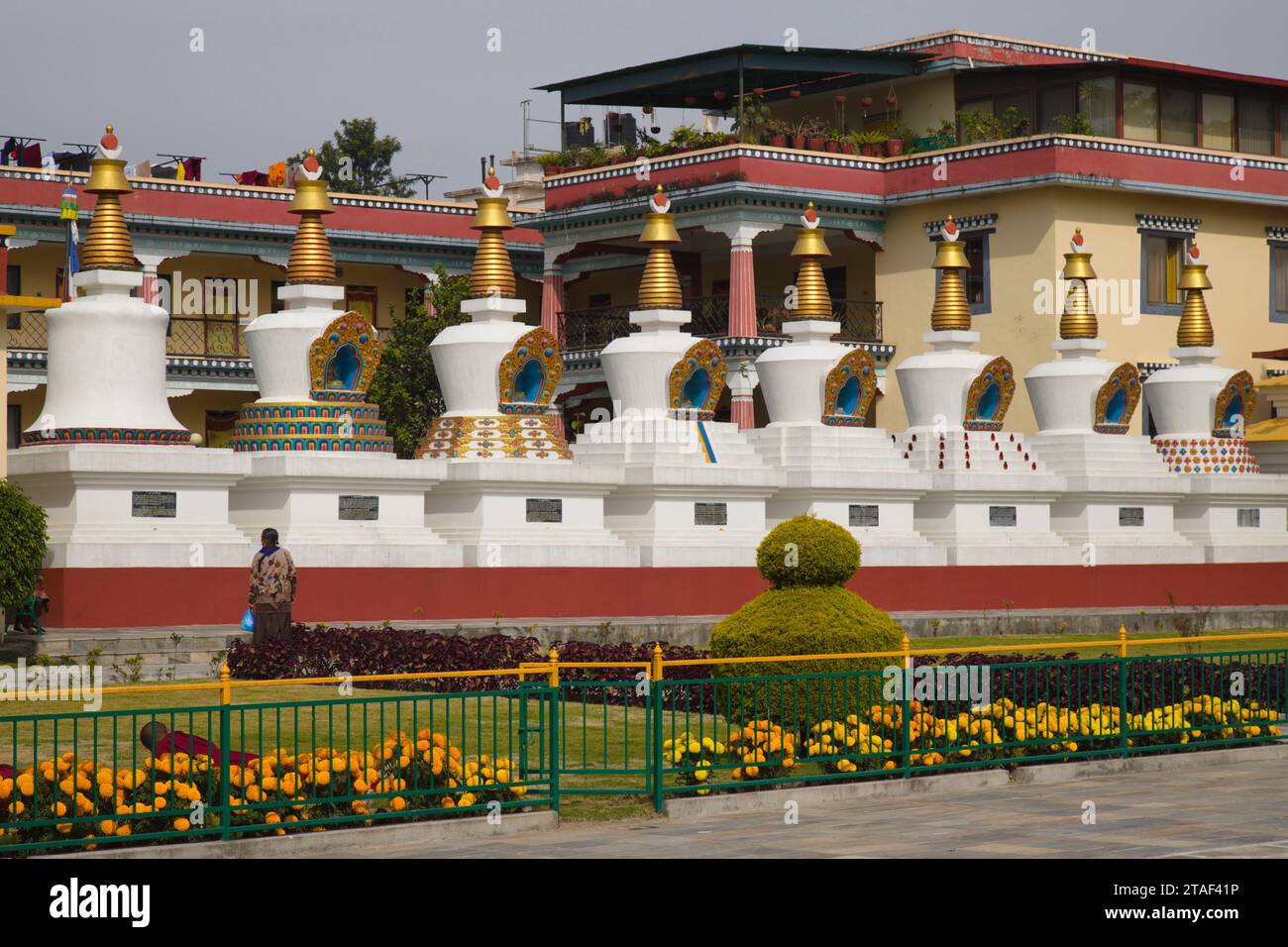 Nepal, Kathmandu Valley, Bodhnath, Shechen Tengyi Dargyeling Gompa ...