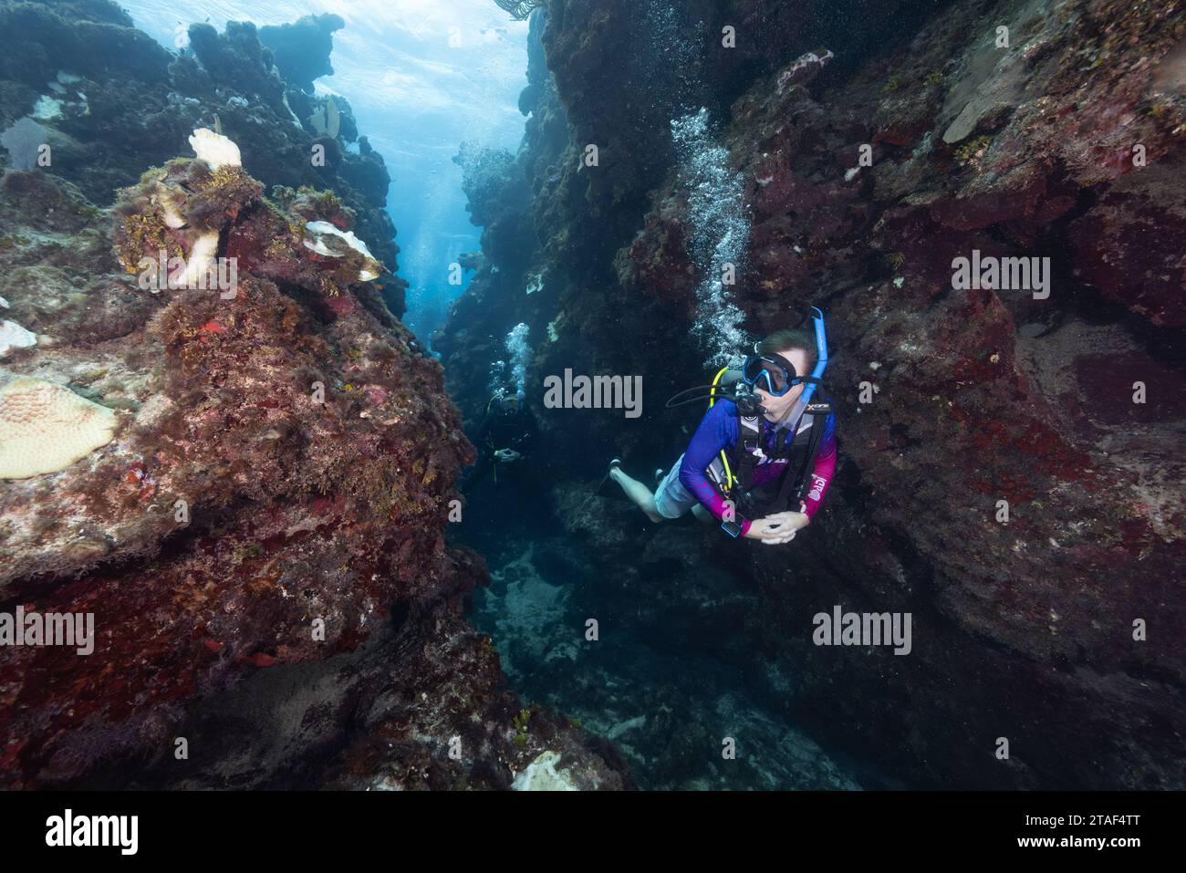 A diver fins through an underwater canyon at Red Bay Caves in Grand ...