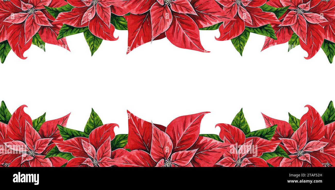 Christmas flower poinsettia banner, hand painted watercolor ...