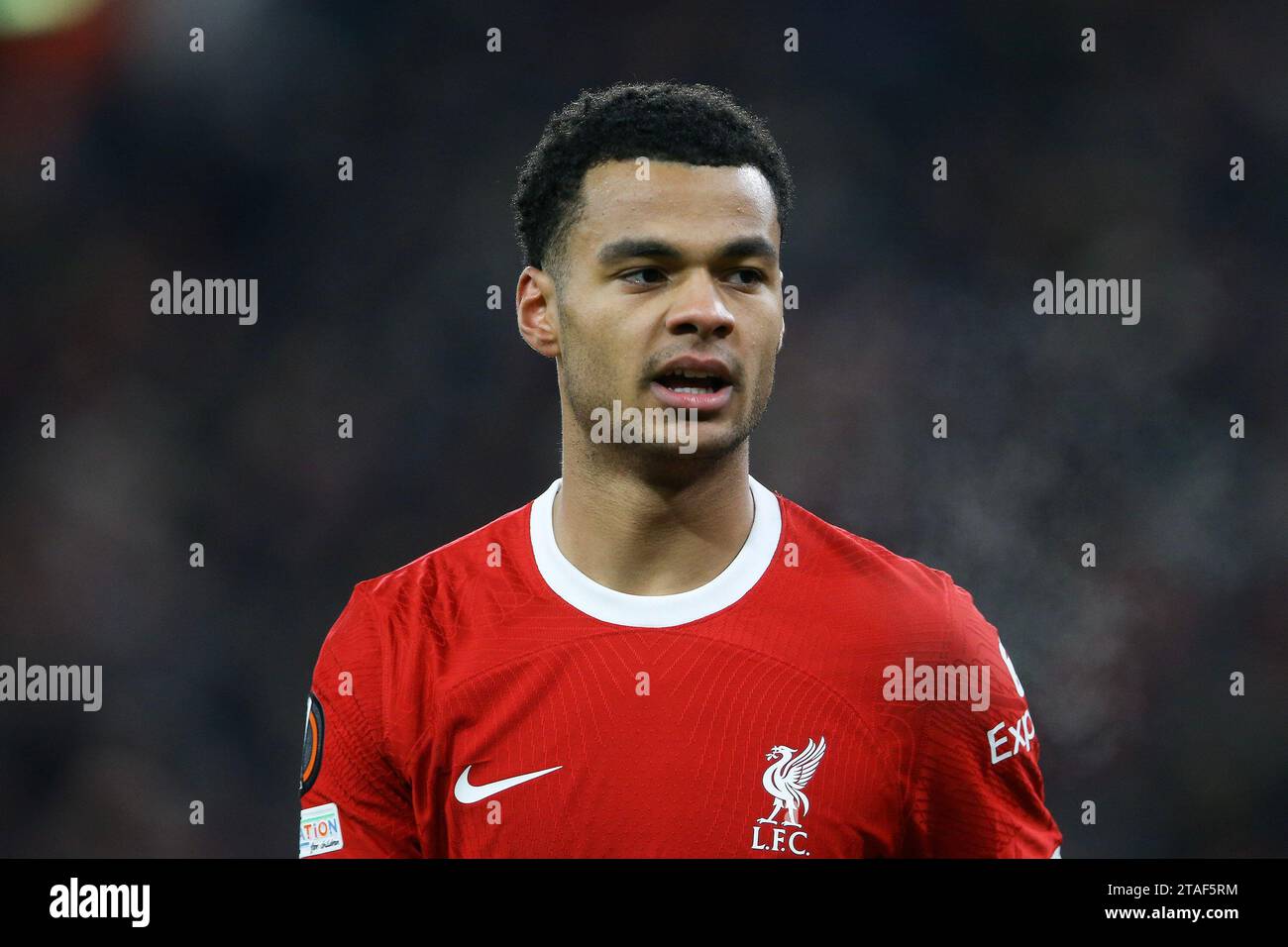 Cody gakpo liverpool 2023 hi-res stock photography and images - Alamy