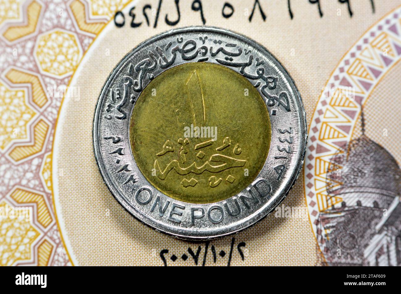 Reverse side date and value of Egyptian 1 LE EGP One Egyptian pound ...