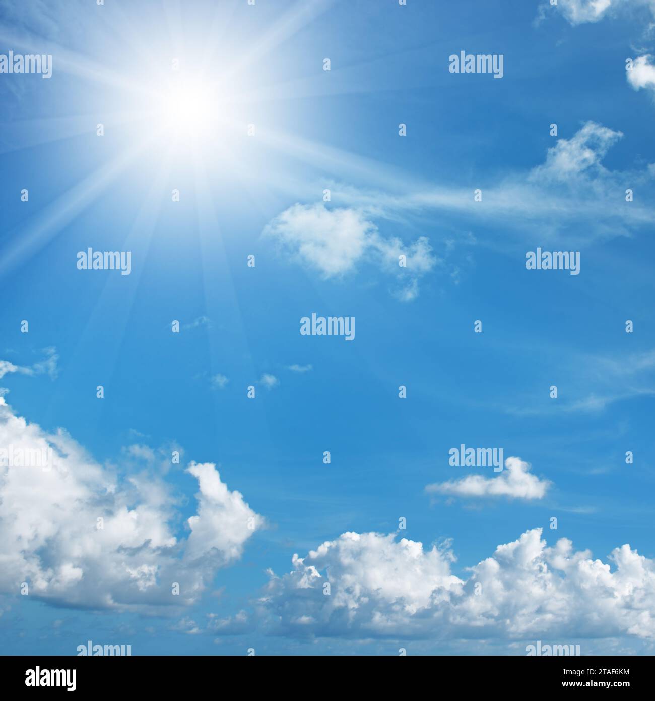 Sunshine sunny sunlight bright light hi-res stock photography and ...