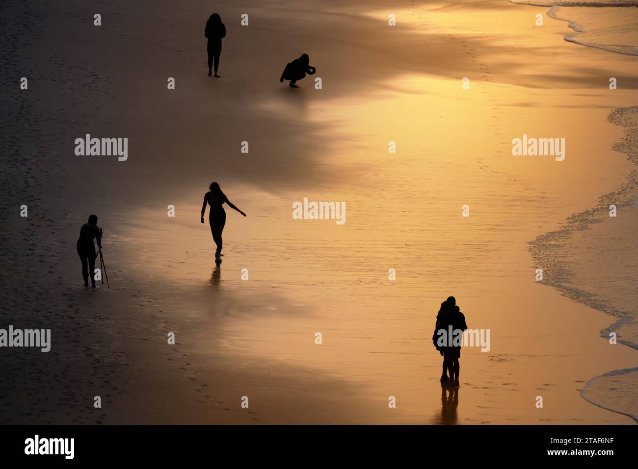 People on sandy beach in the golden light of the sunset Stock Photo - Alamy