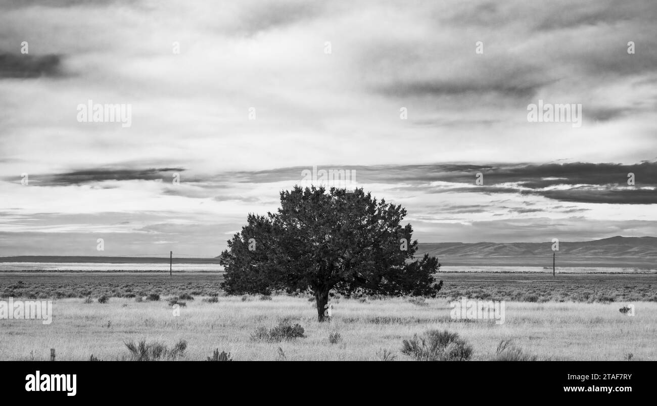 Southeast oregon hi-res stock photography and images - Alamy