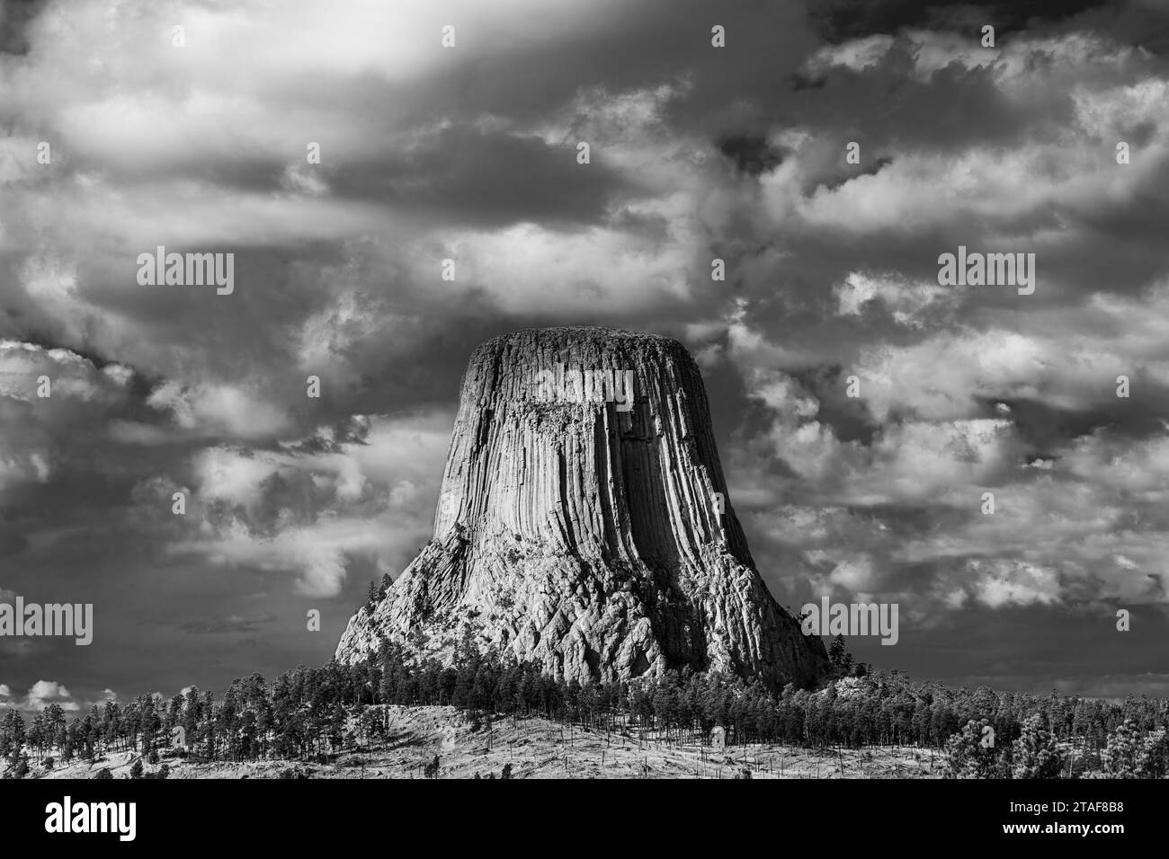 Stump tower Black and White Stock Photos & Images - Alamy