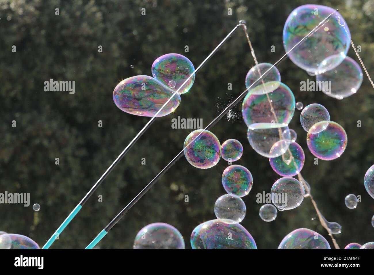 Soap shiny hi-res stock photography and images - Alamy