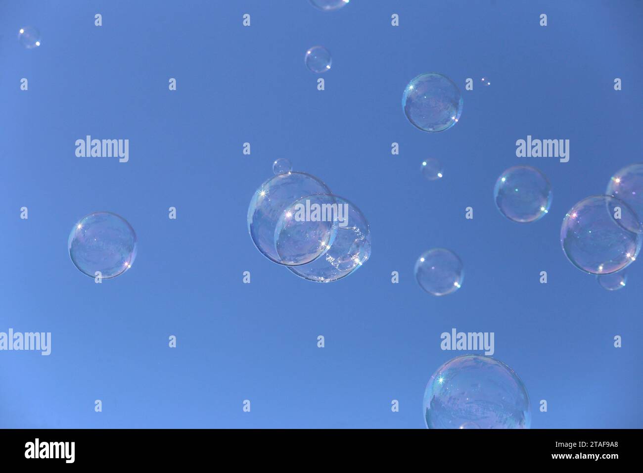 Transparent soap bubbles bubbles hi-res stock photography and images ...