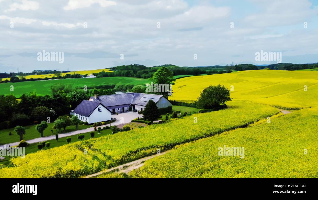 Fields rapeseed on danish hi-res stock photography and images - Alamy