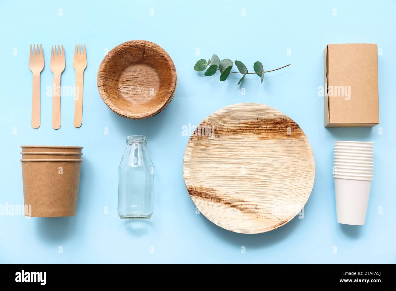 Disposable eco tableware with eucalyptus branch on blue background ...
