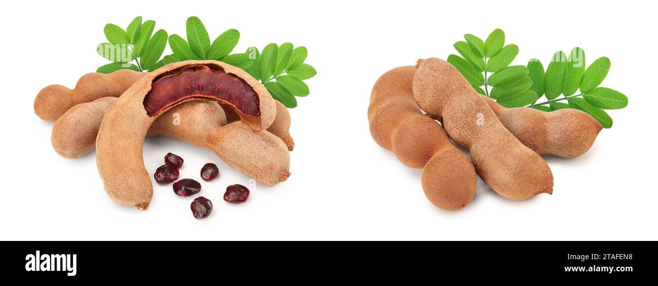 Tamarind fruit and seeds isolated on white background Stock Photo - Alamy