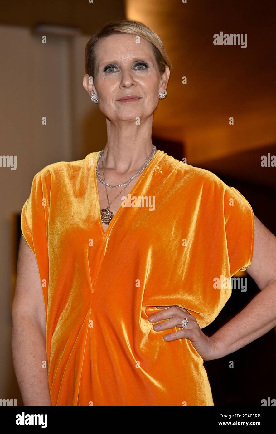 Cynthia Nixon poses during the cast photo call for HBO's "The Gilded ...