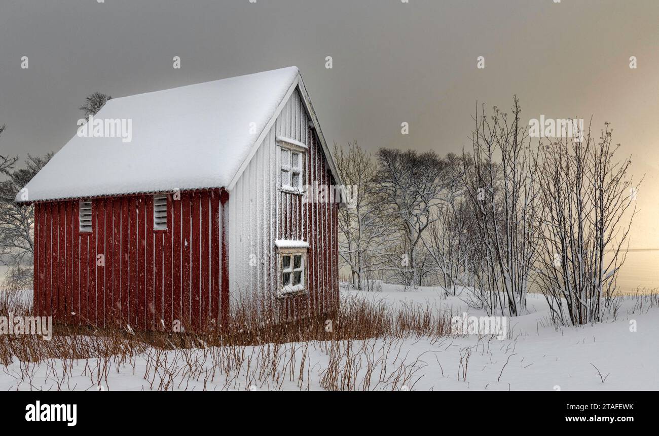 Red hut in arctic norway Stock Photo - Alamy