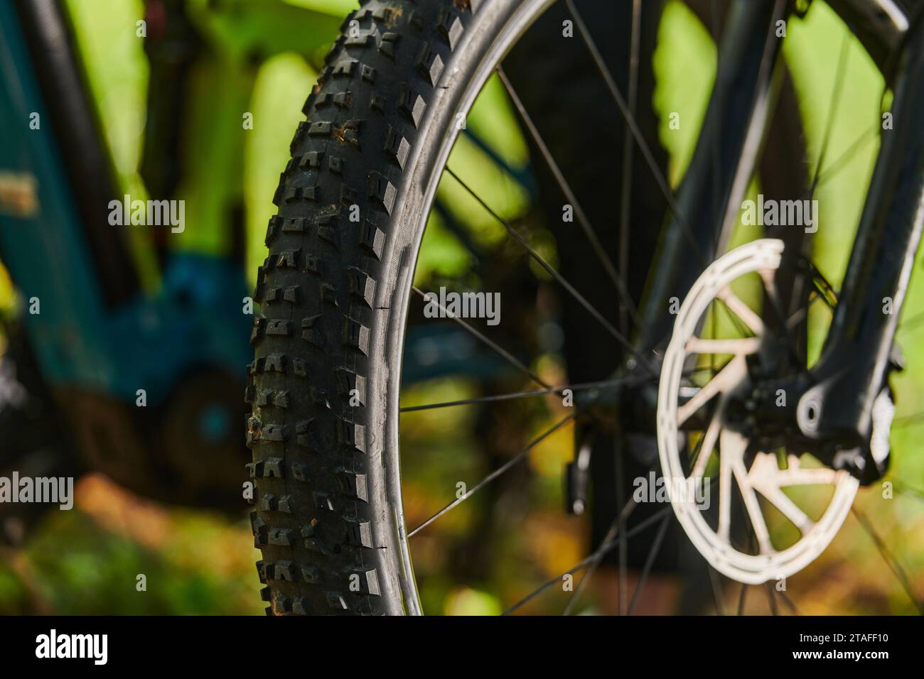 A sports bicycle races through the park, its components in focused ...