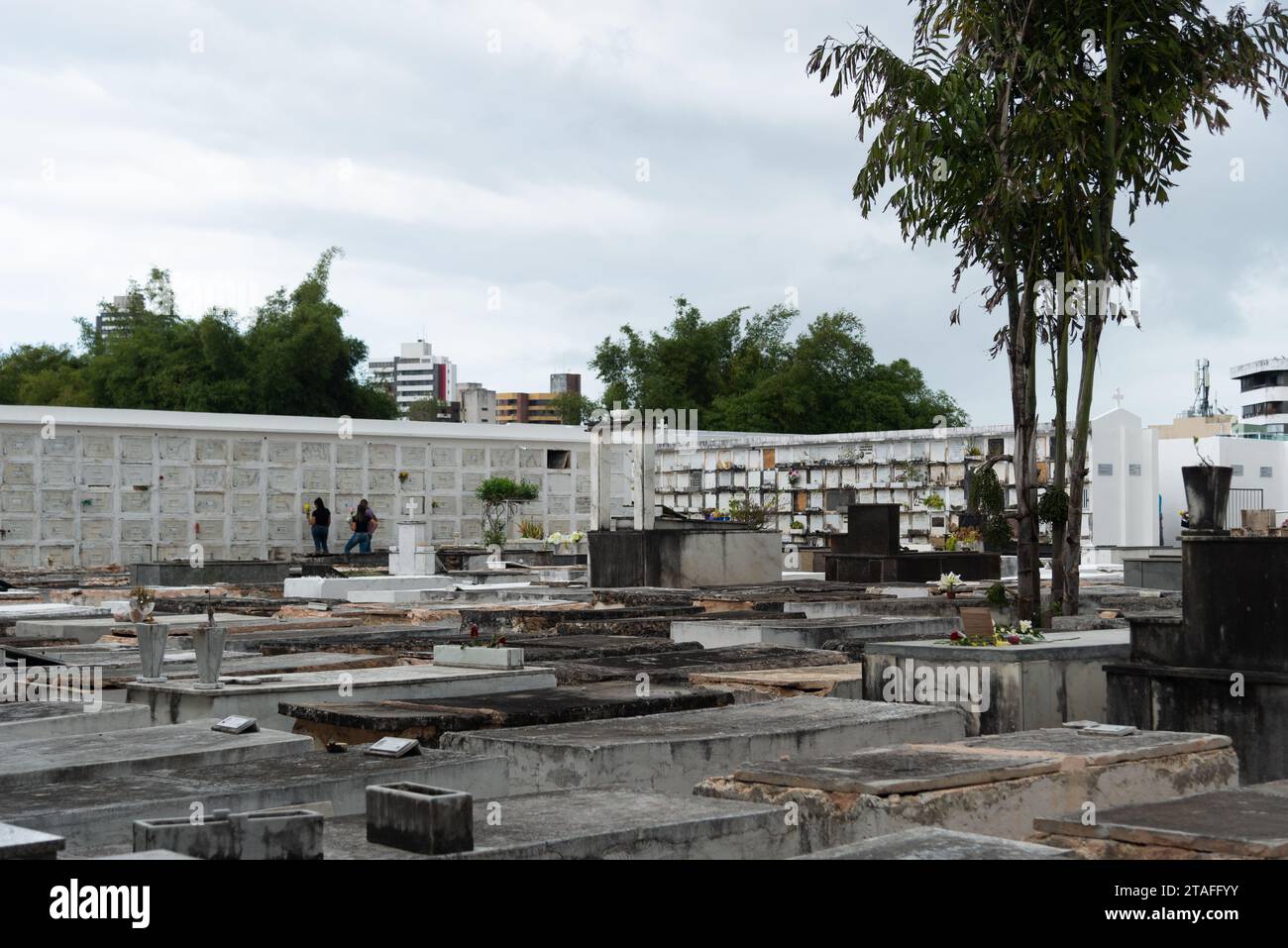 Salvador, Bahia, Brazil - November 02, 2023: Burial drawers at the ...