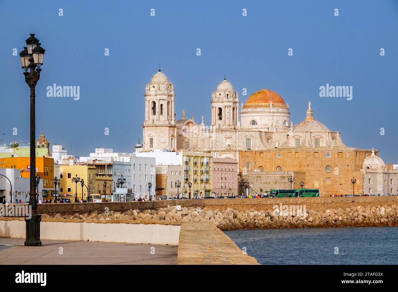 The domes of the Cadiz Cathedral and the Baroque Santiago church rising ...