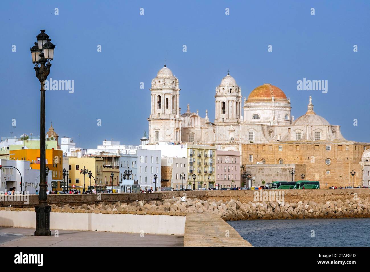 The domes of the Cadiz Cathedral and the Baroque Santiago church rising ...